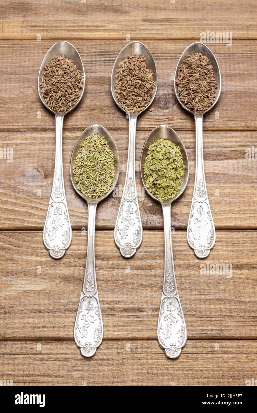 Fennel seeds and dry herbal spices and in metal spoons. Top view ...
