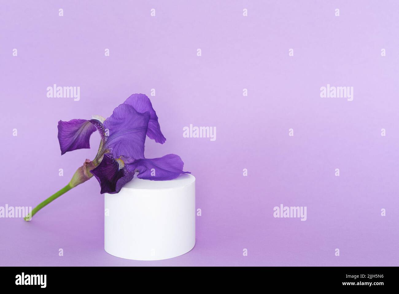 Purple iris flower with white circular display for products on purple ...