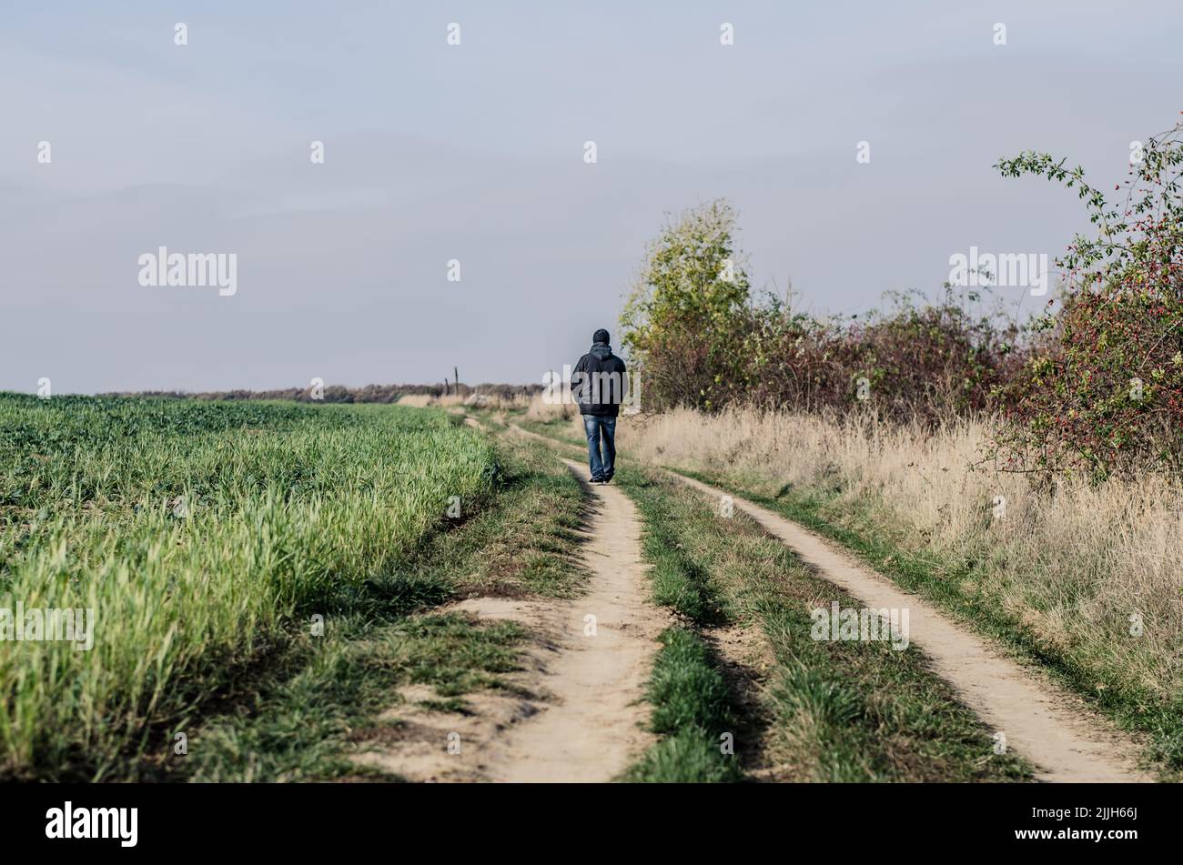 nostalgic autumn day with sad man leaving away among empty meadows in ...