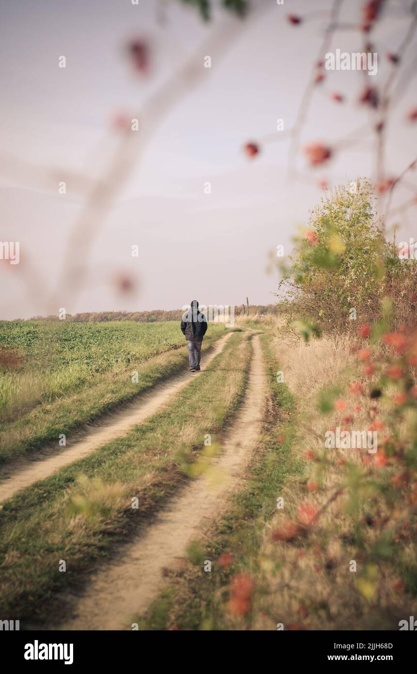 nostalgic autumn day with sad man leaving away among empty meadows in ...