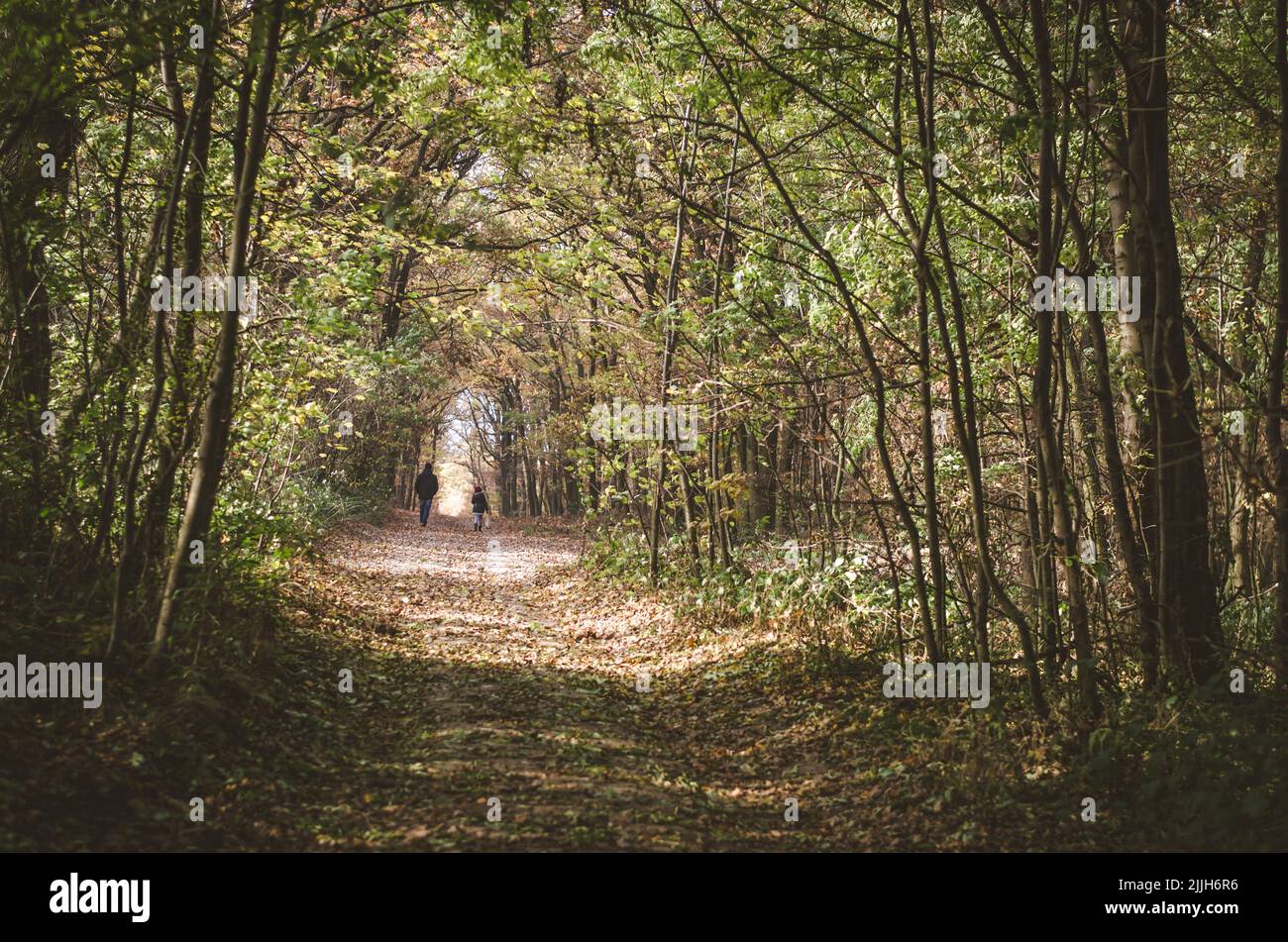 father and daughter having happy time together while walking in ...