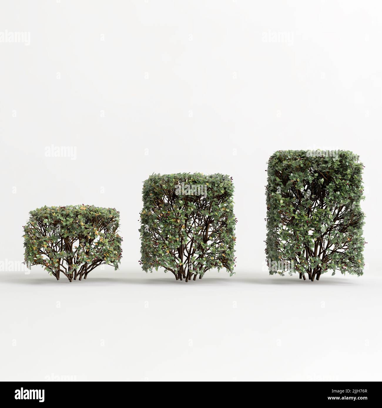 3d illustration of tree fence Stock Photo - Alamy