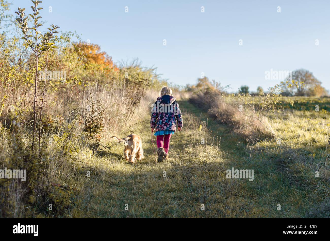 happy sunny day in the countryside Stock Photo - Alamy