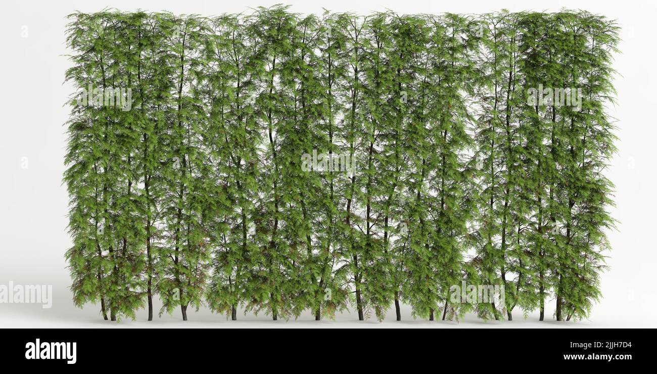 3d illustration of tree fence Stock Photo - Alamy