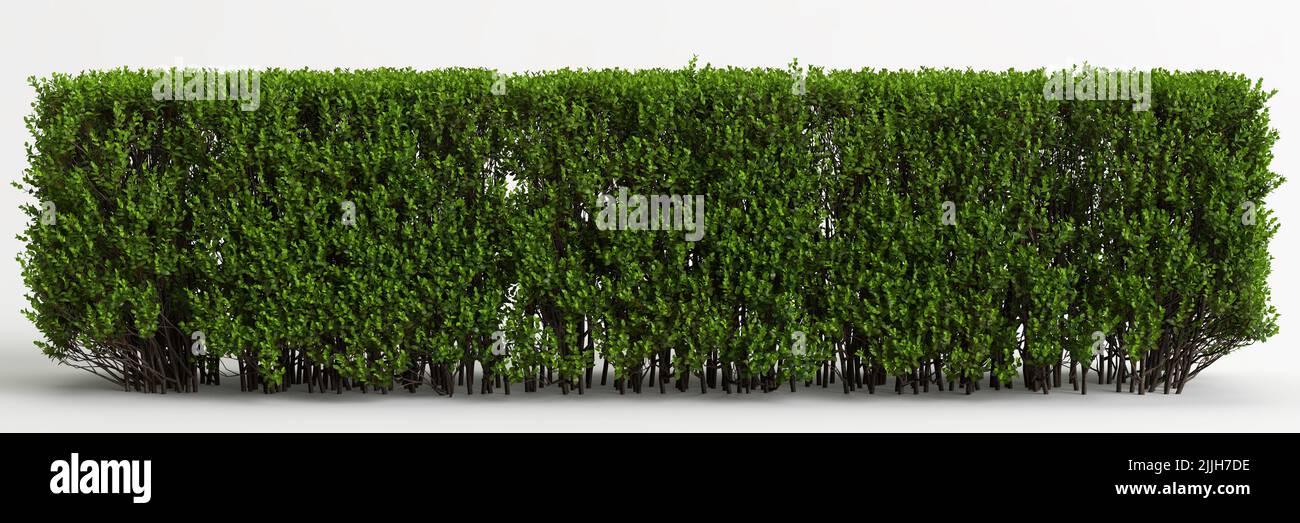 3d illustration of tree fence Stock Photo - Alamy
