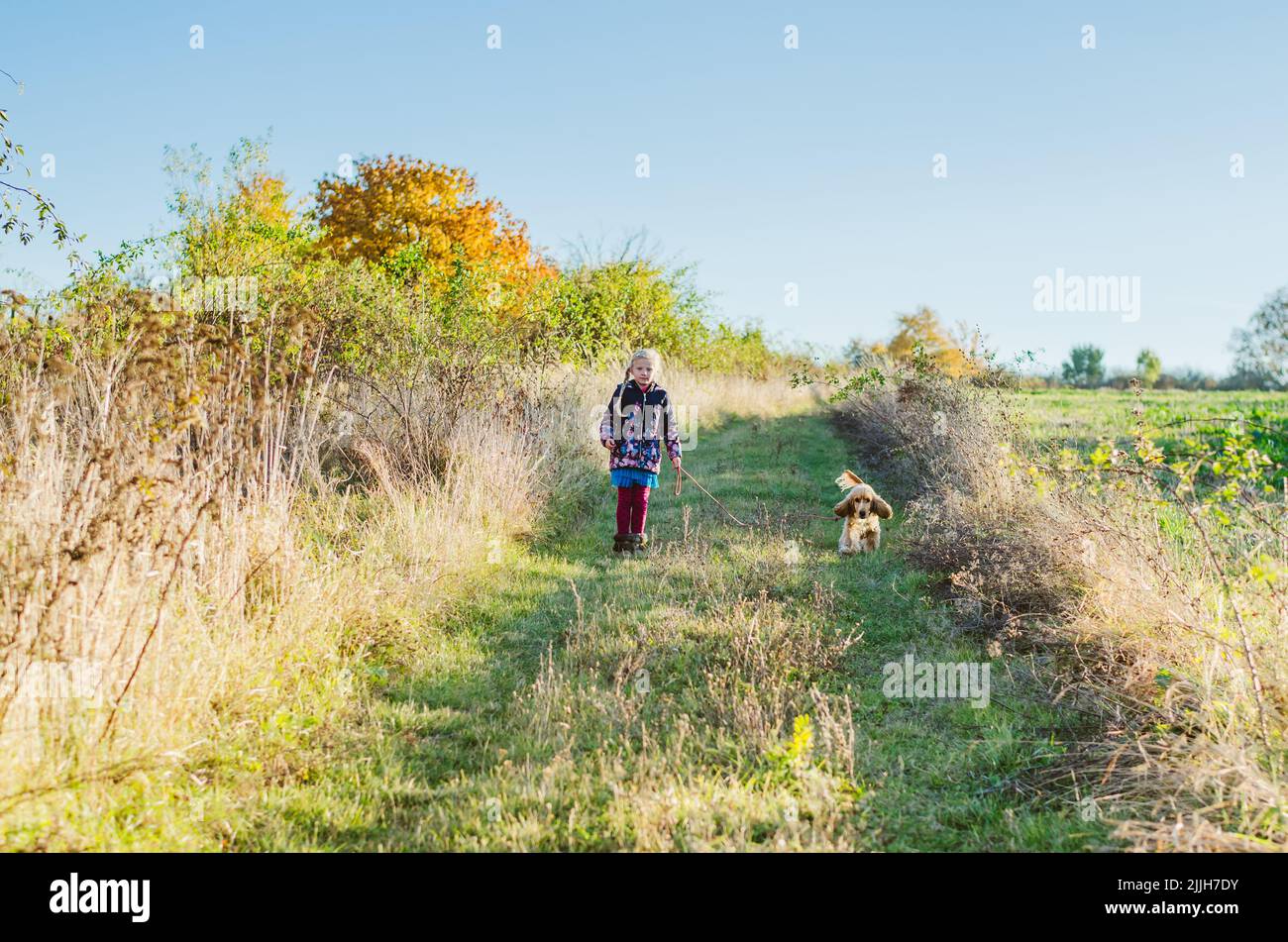 happy sunny day in the countryside Stock Photo - Alamy
