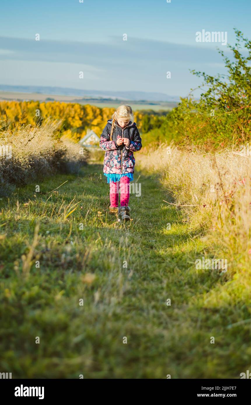 happy sunny day in the countryside Stock Photo - Alamy