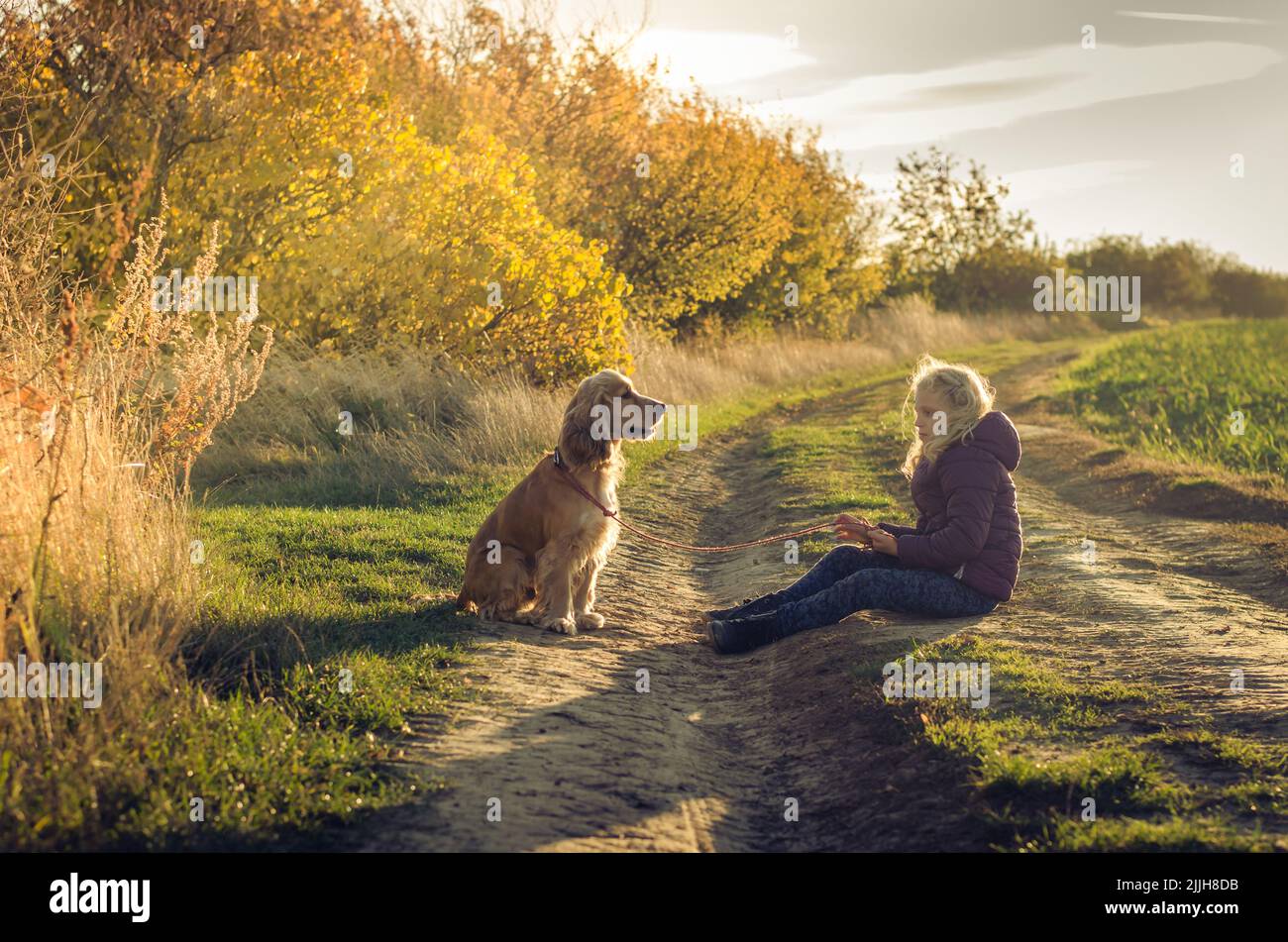 happy sunny day in the countryside Stock Photo - Alamy