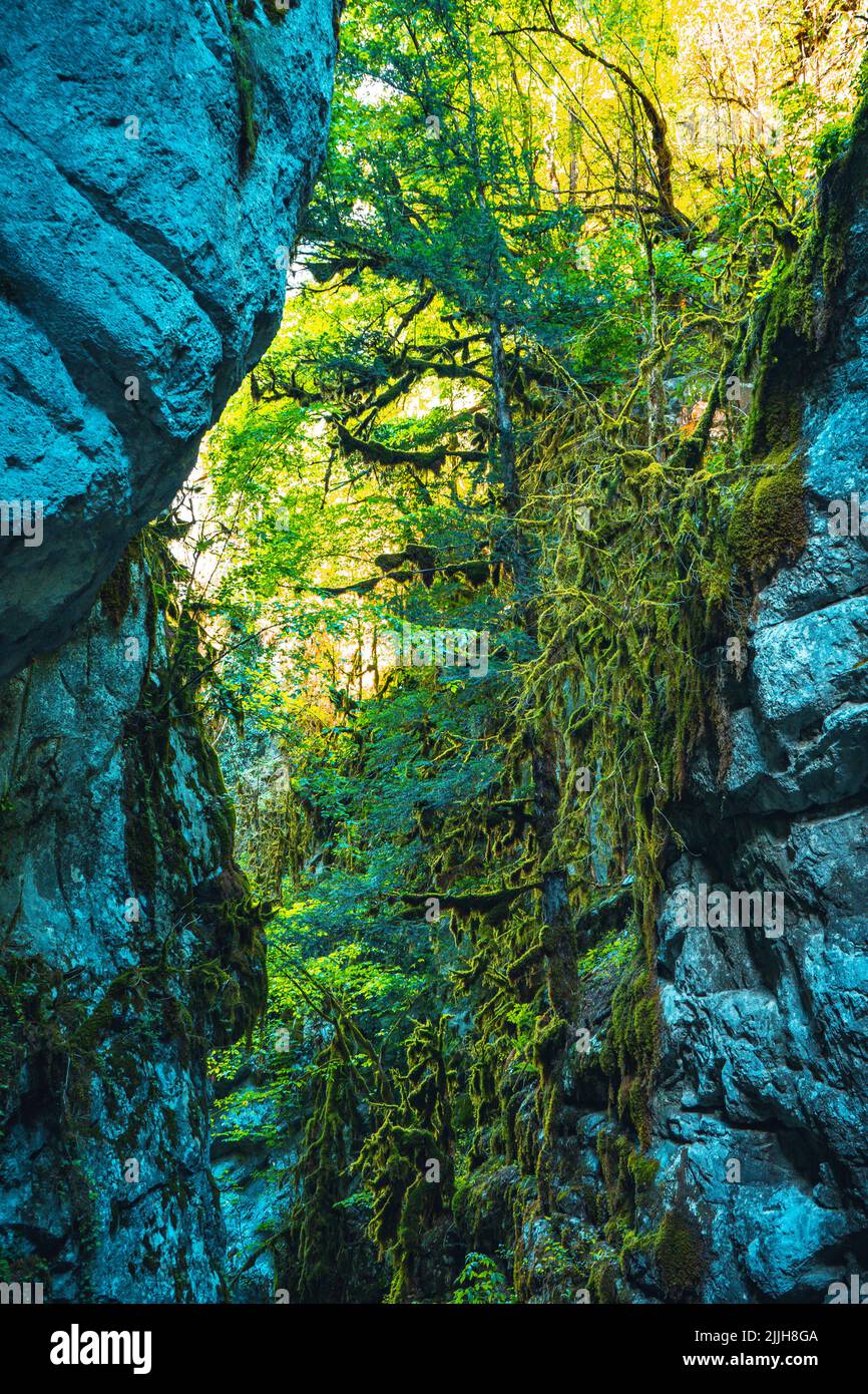 Horma Canyon. Kure Mountains National Park. Horma Canyon hiking trail ...