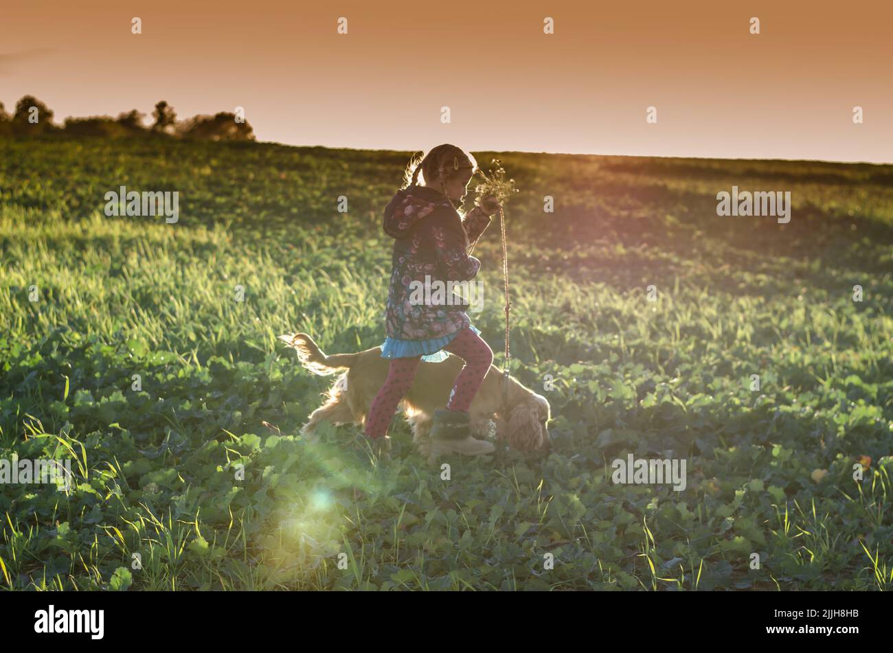 Sunny day in the countryside hi-res stock photography and images - Alamy