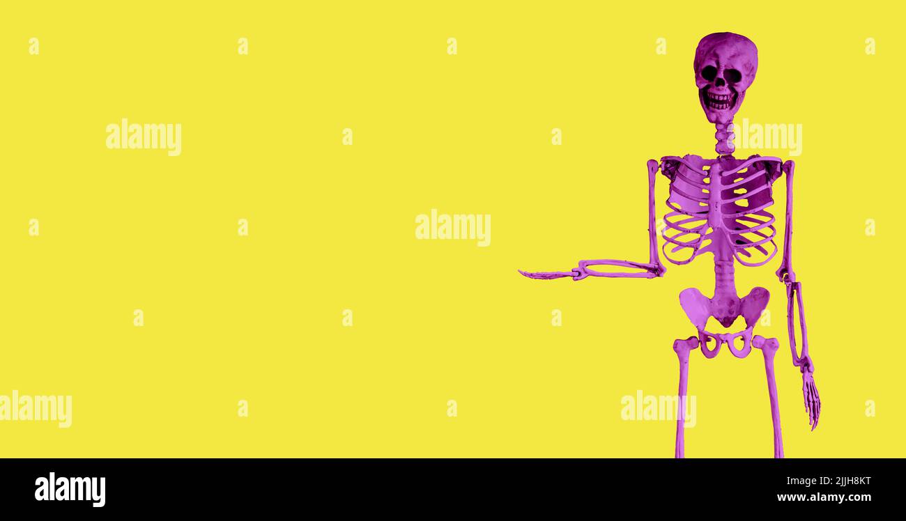 Spine banner hi-res stock photography and images - Alamy