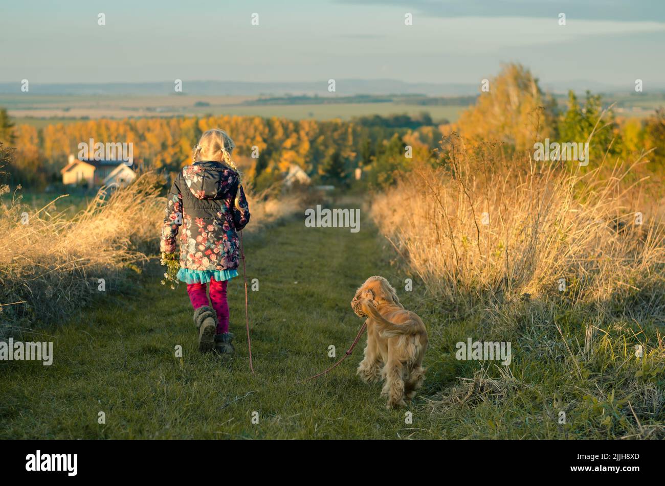 happy sunny day in the countryside Stock Photo - Alamy