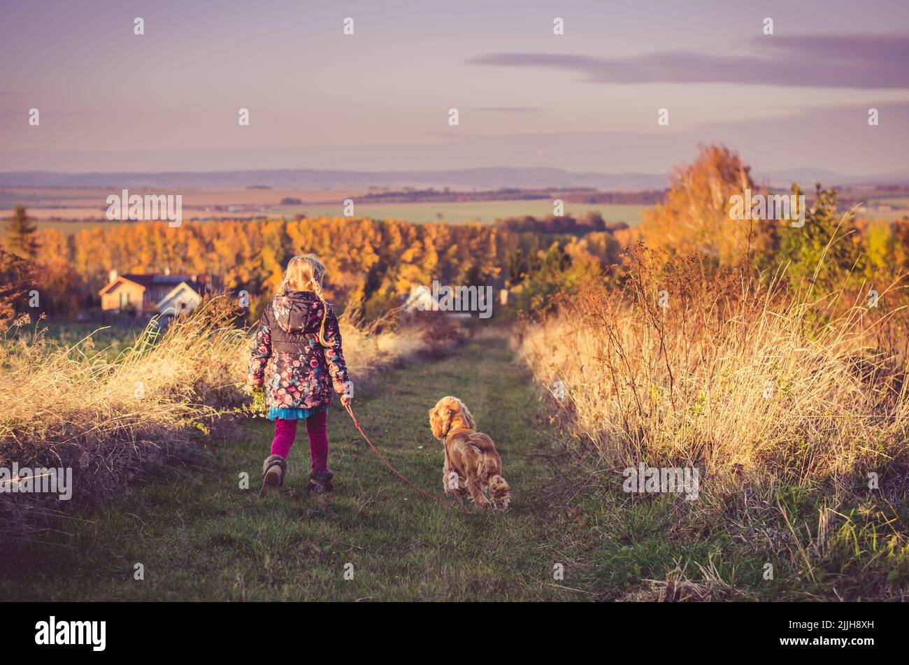 happy sunny day in the countryside Stock Photo - Alamy