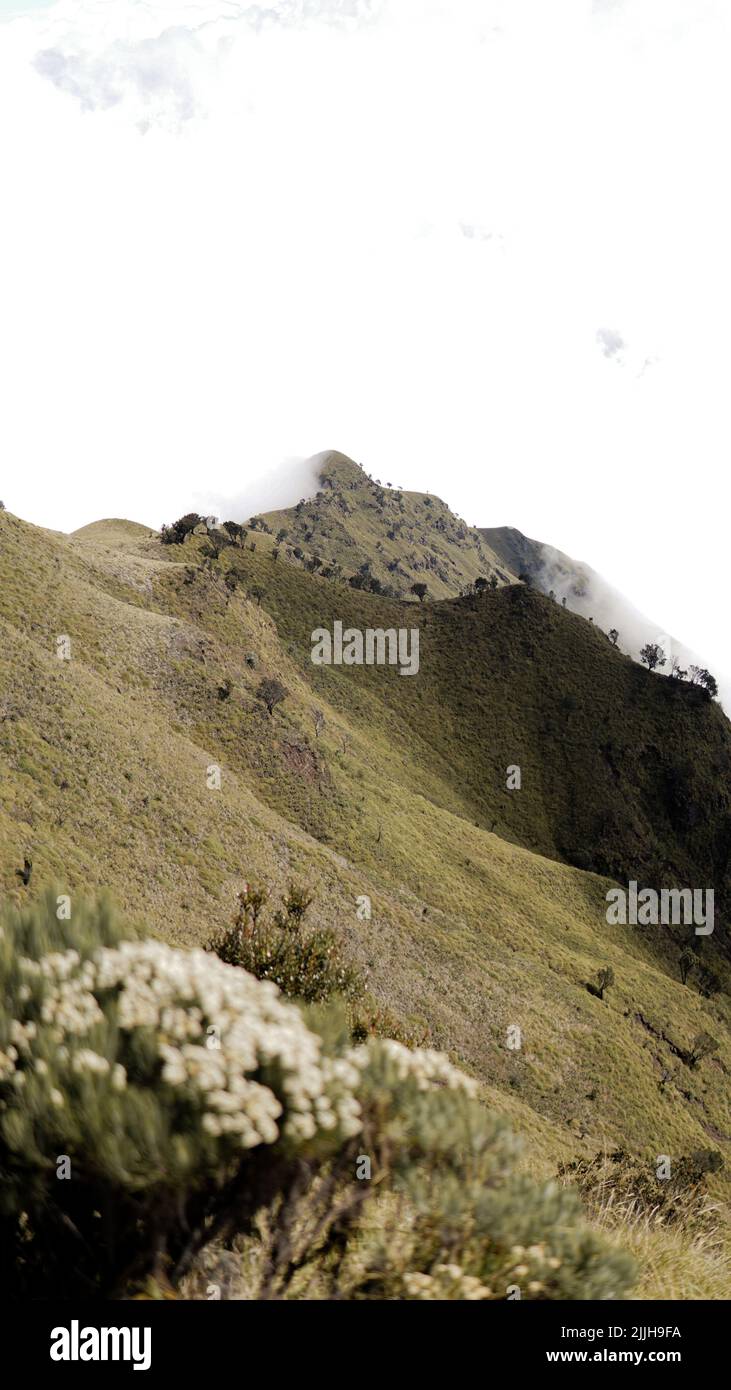Merbabu mountain and clouds hi-res stock photography and images - Alamy