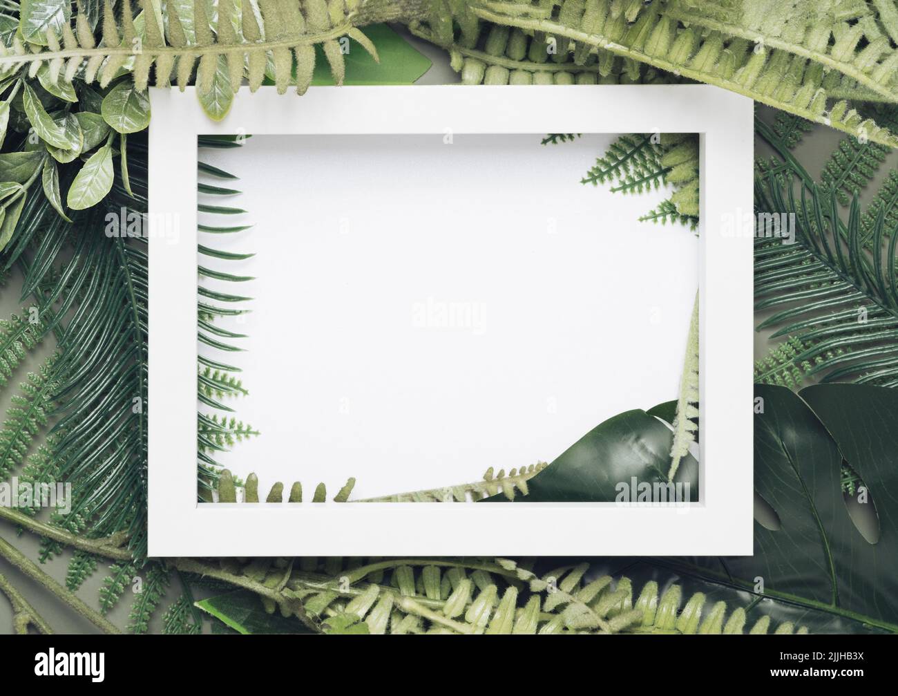 Jungle leaves border hi-res stock photography and images - Alamy