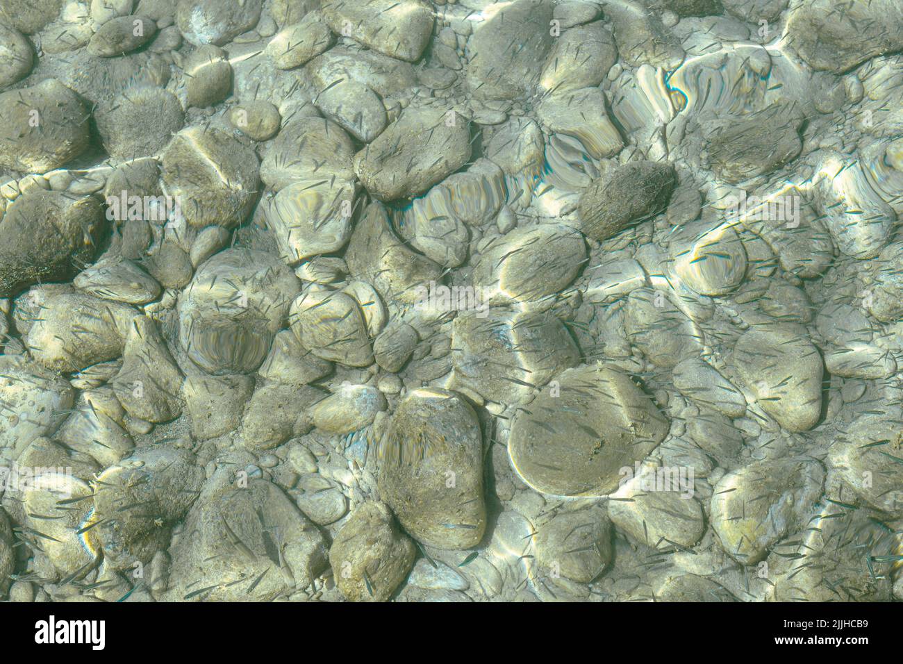 View of underwater pebbles in the sea, pebble background Stock Photo ...