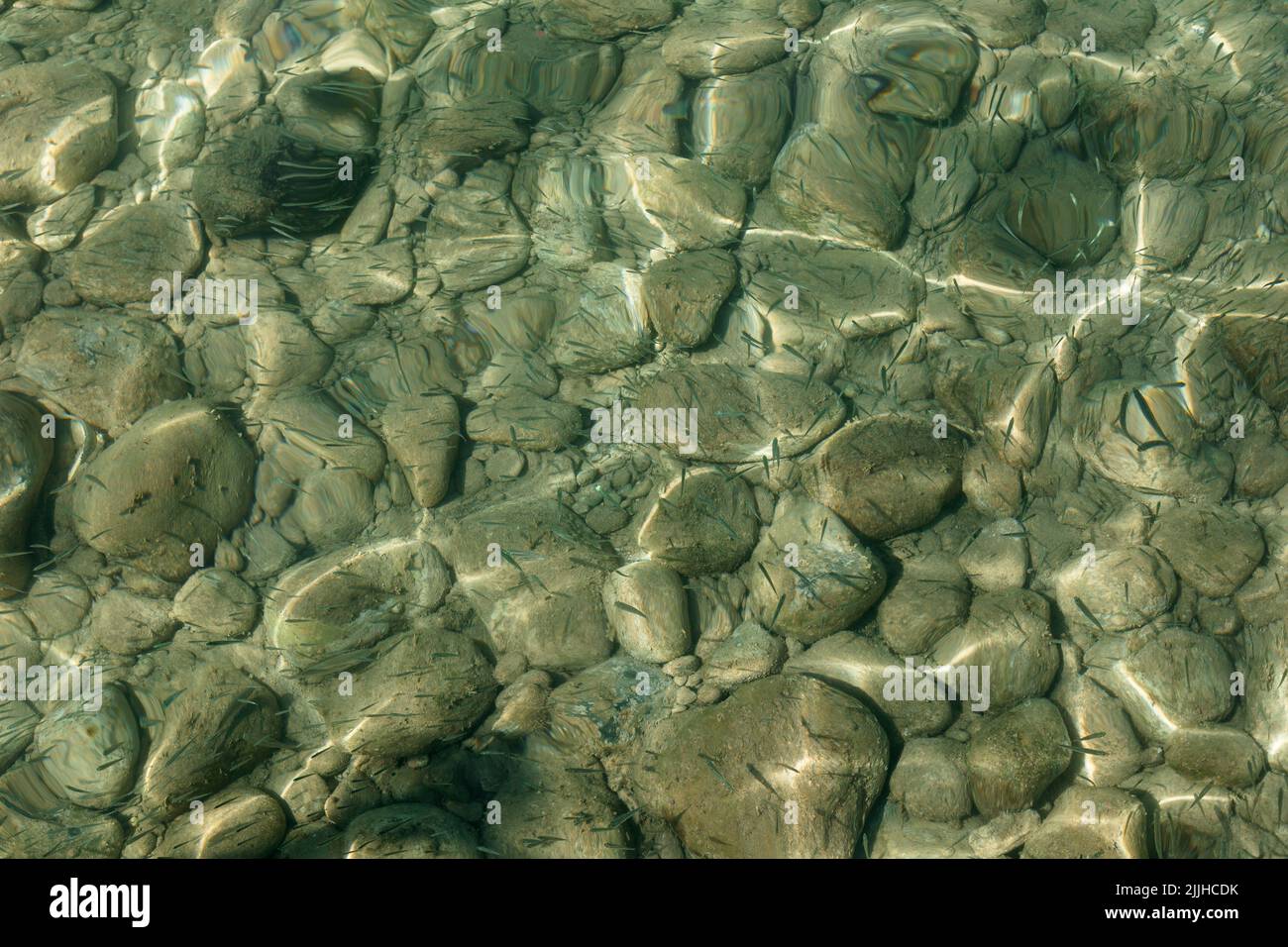 View of underwater pebbles in the sea, pebble background Stock Photo ...