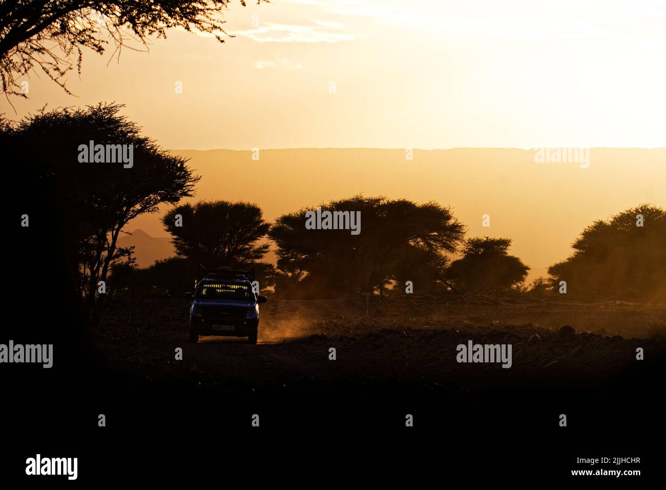 Beautiful acacia trees dawn on hi-res stock photography and images - Alamy