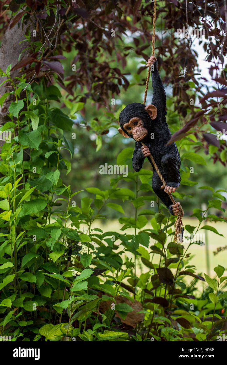 Hanging from the rope hi-res stock photography and images - Alamy