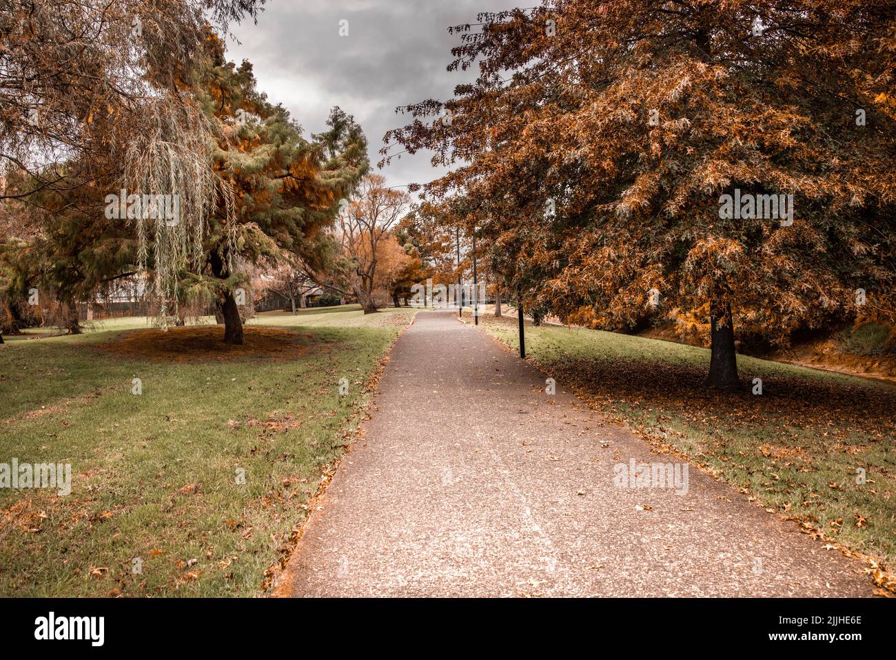 A walking trail through a park with brown trees in Auckland Stock Photo ...