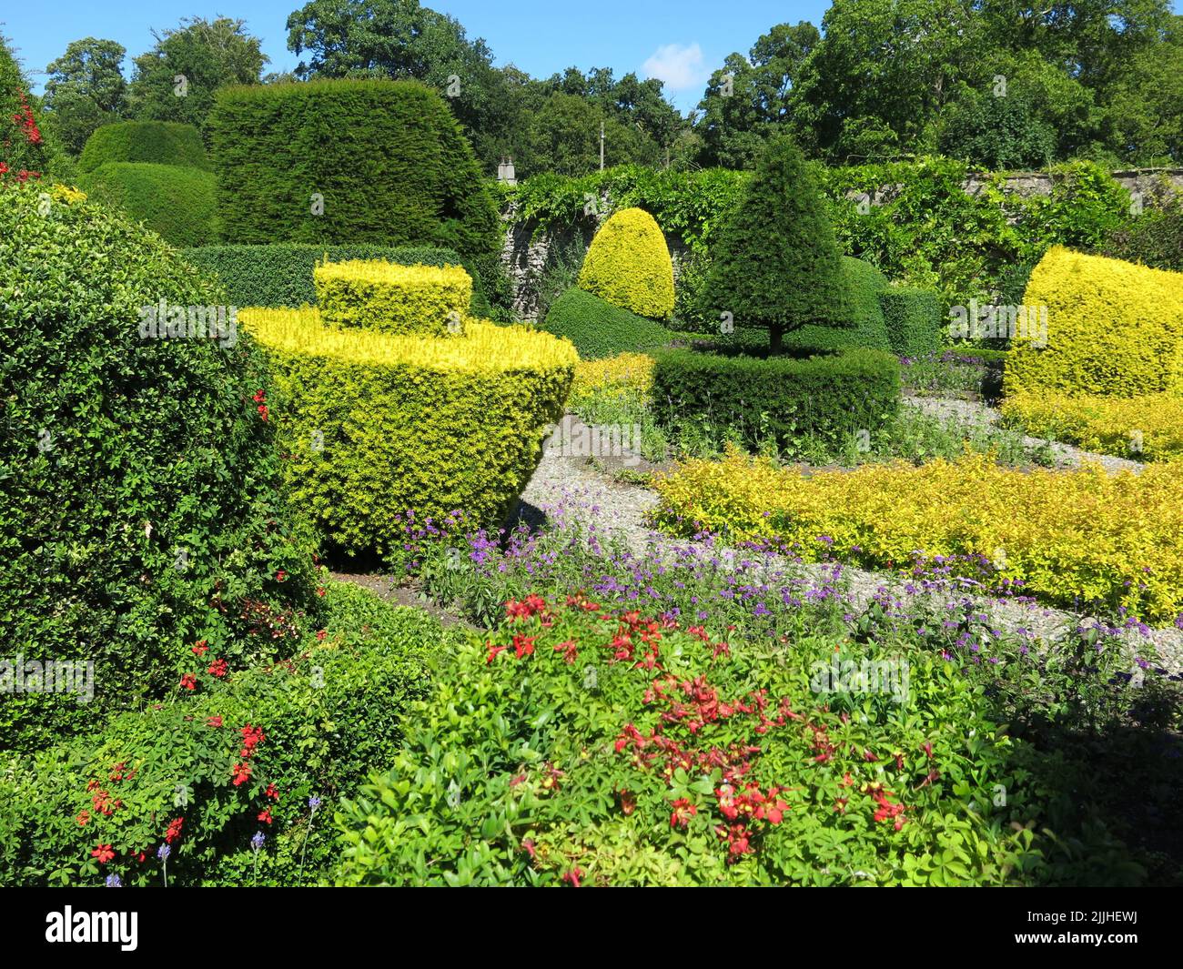 In various forms of yew, and different shapes, the topiary gardens at ...