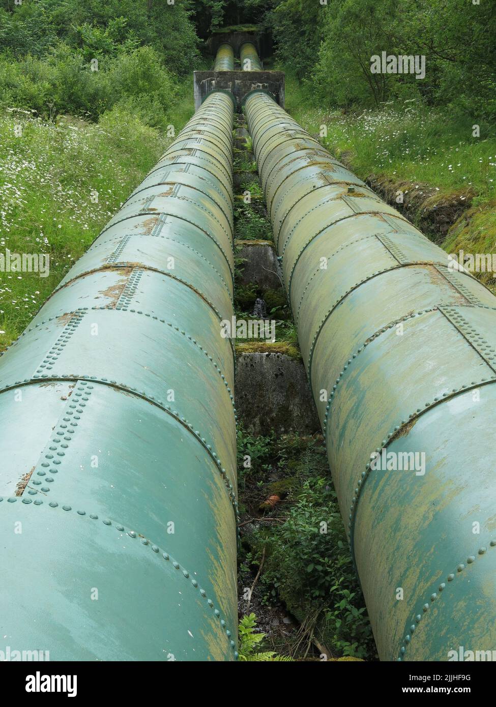 Harnessing the Falls of Clyde, two green, riveted steel pipes cascade ...