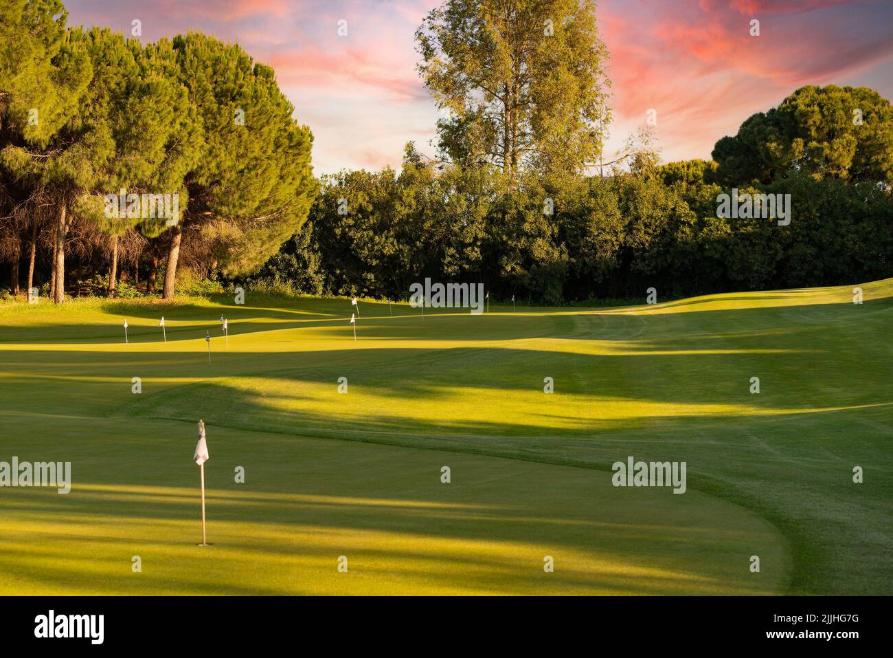 Small golf course with several holes with practice flags Stock Photo ...