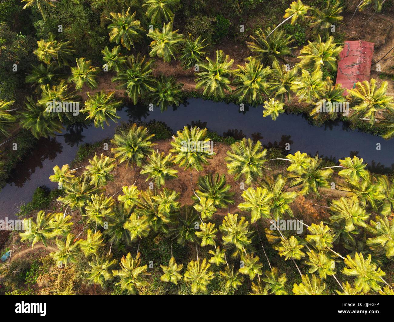 An aerial view of river surrounded by palm trees Stock Photo - Alamy