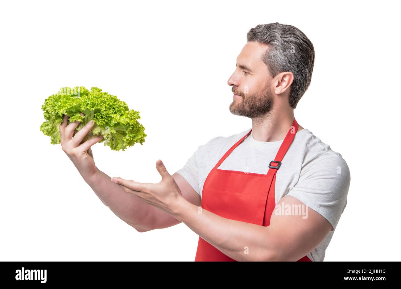 man in apron presenting lettuce vegetable isolated on white Stock Photo ...