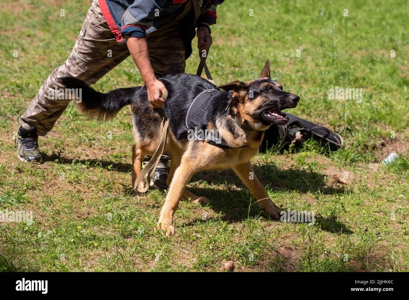 Police dog attacking black man hi-res stock photography and images - Alamy