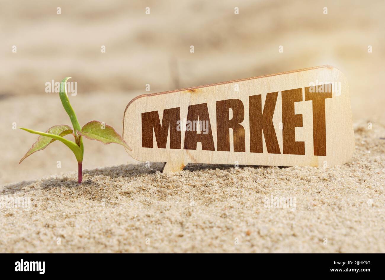 Business concept. Near the sprout there is a plate with the inscription ...