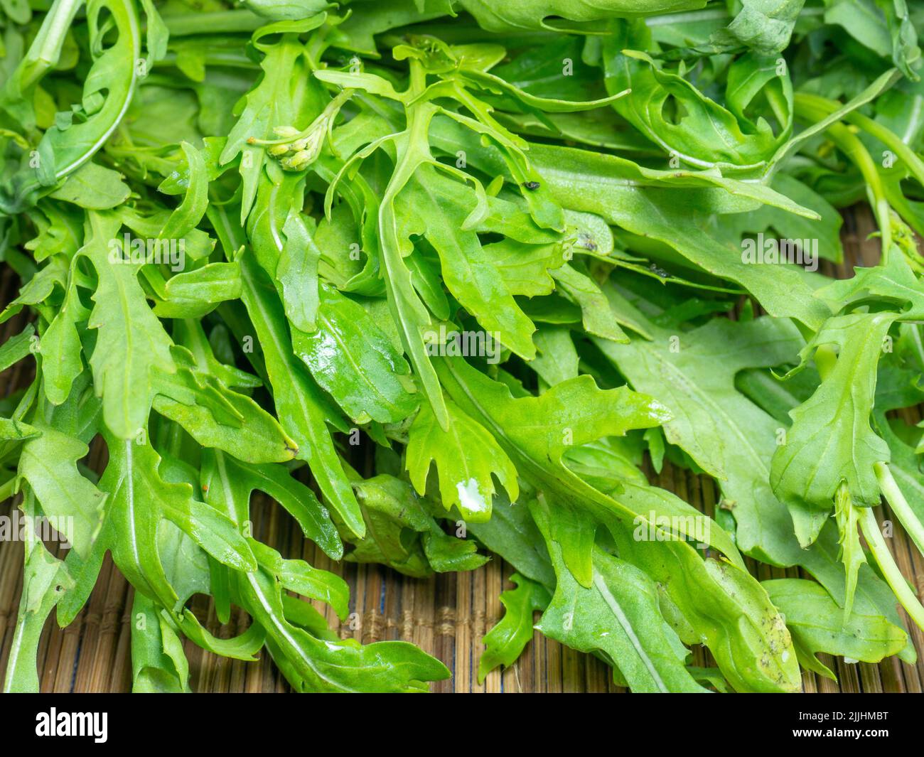 Arugula on a wooden surface. Greenery from the garden. Plants for food ...