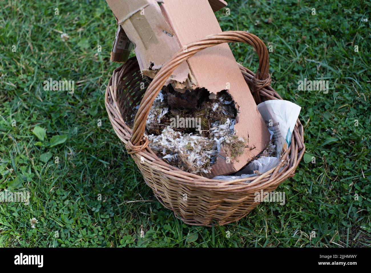 Mouse nest box hi-res stock photography and images - Alamy
