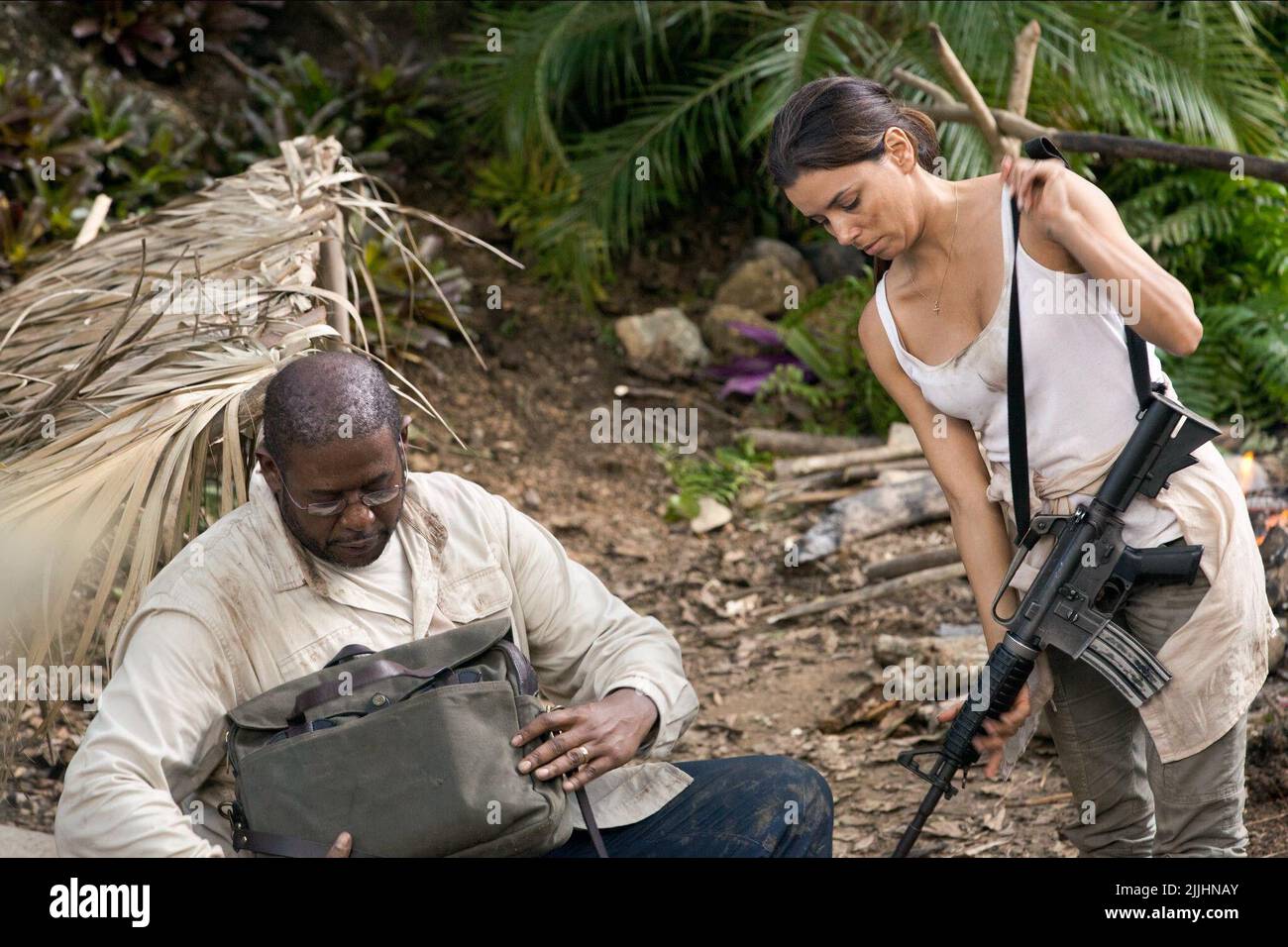 Eva forest hi-res stock photography and images - Alamy