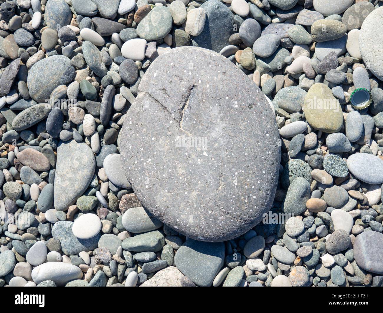Pebbles on the beach. Background from stones. One large stone in the ...