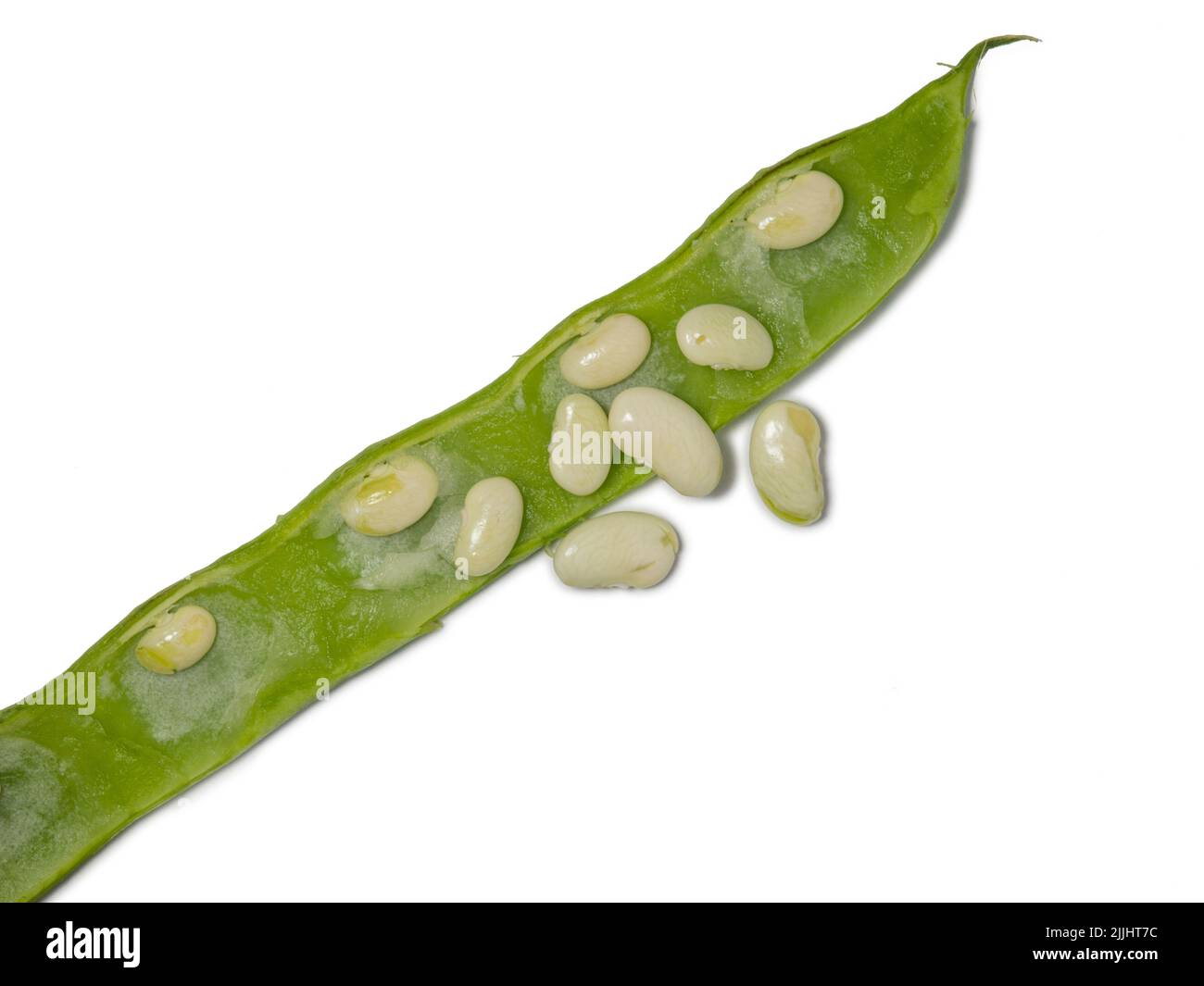 Pods of green beans on a white background. Opened bean pods. beans ...
