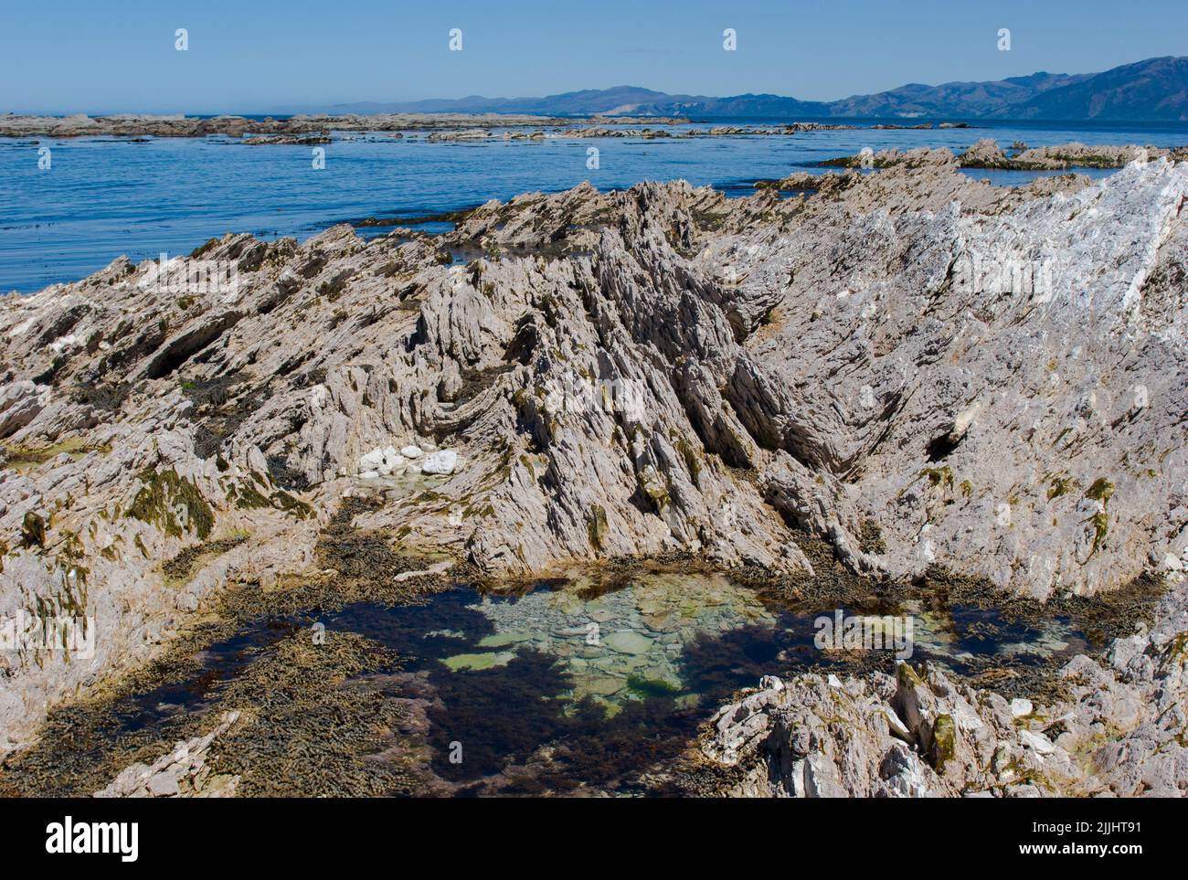 A Look at life in New Zealand: The rugged, rocky coastline of Kaikoura ...