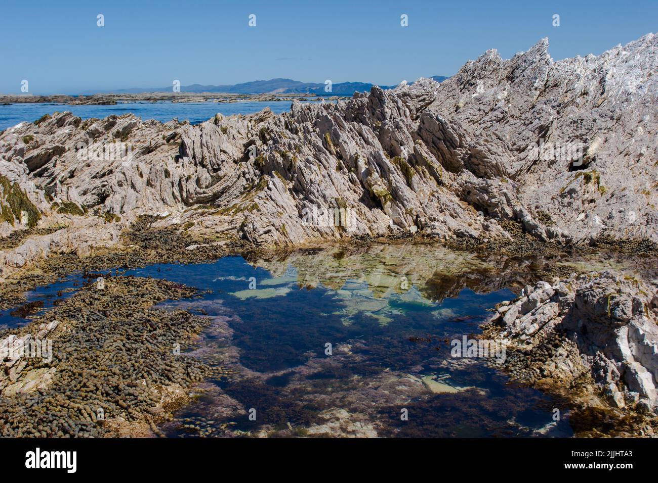 A Look at life in New Zealand: The rugged, rocky coastline of Kaikoura ...