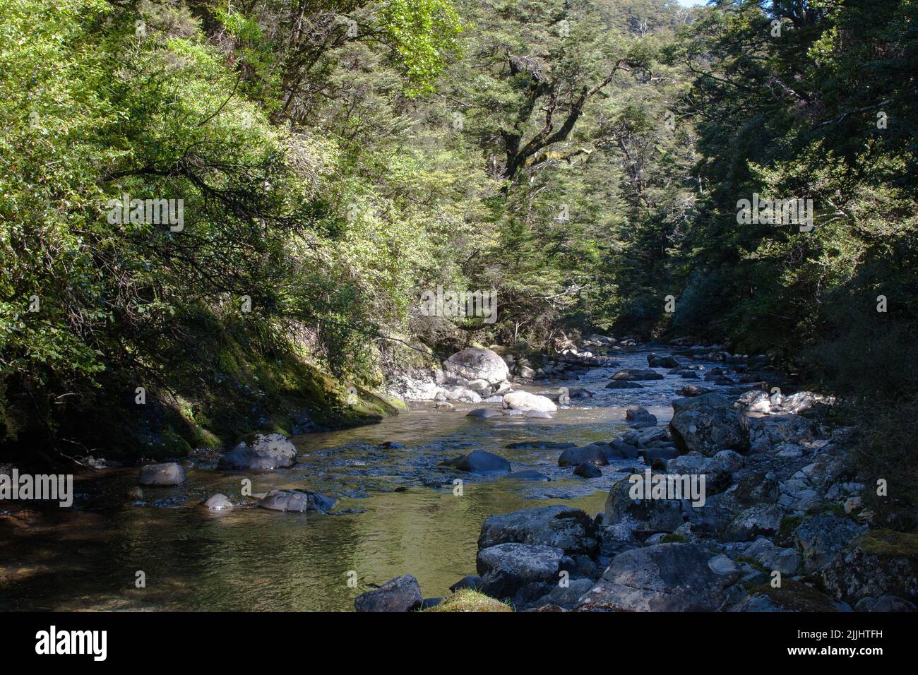 A look at life in New Zealand: secluded native bush and crystal clear ...