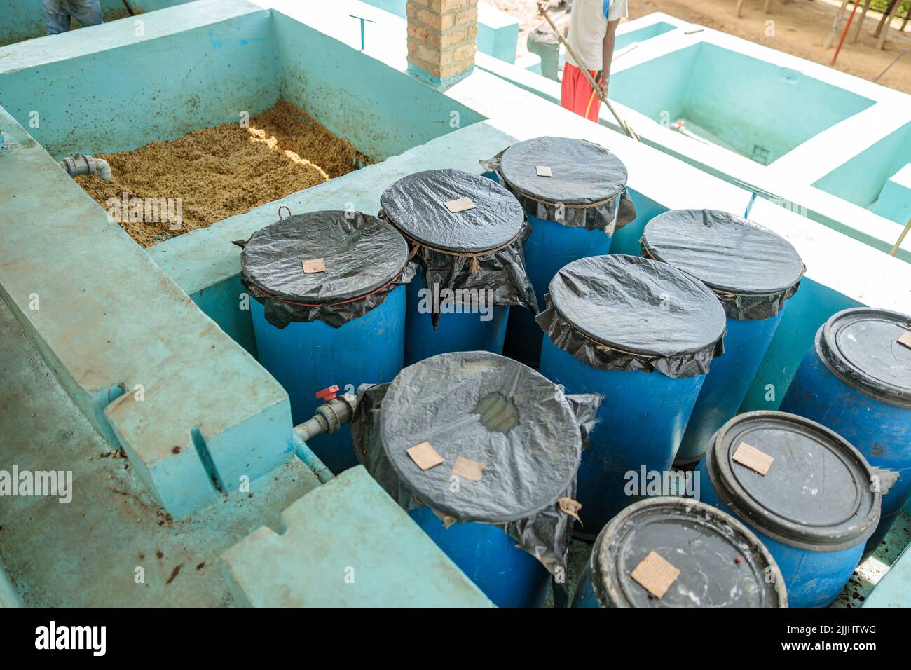 Closed plastic containers standing on washing station on coffee farm in ...