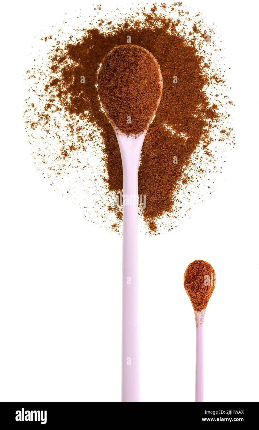 Cinnamon is a spice made from the inner bark of trees scientifically ...