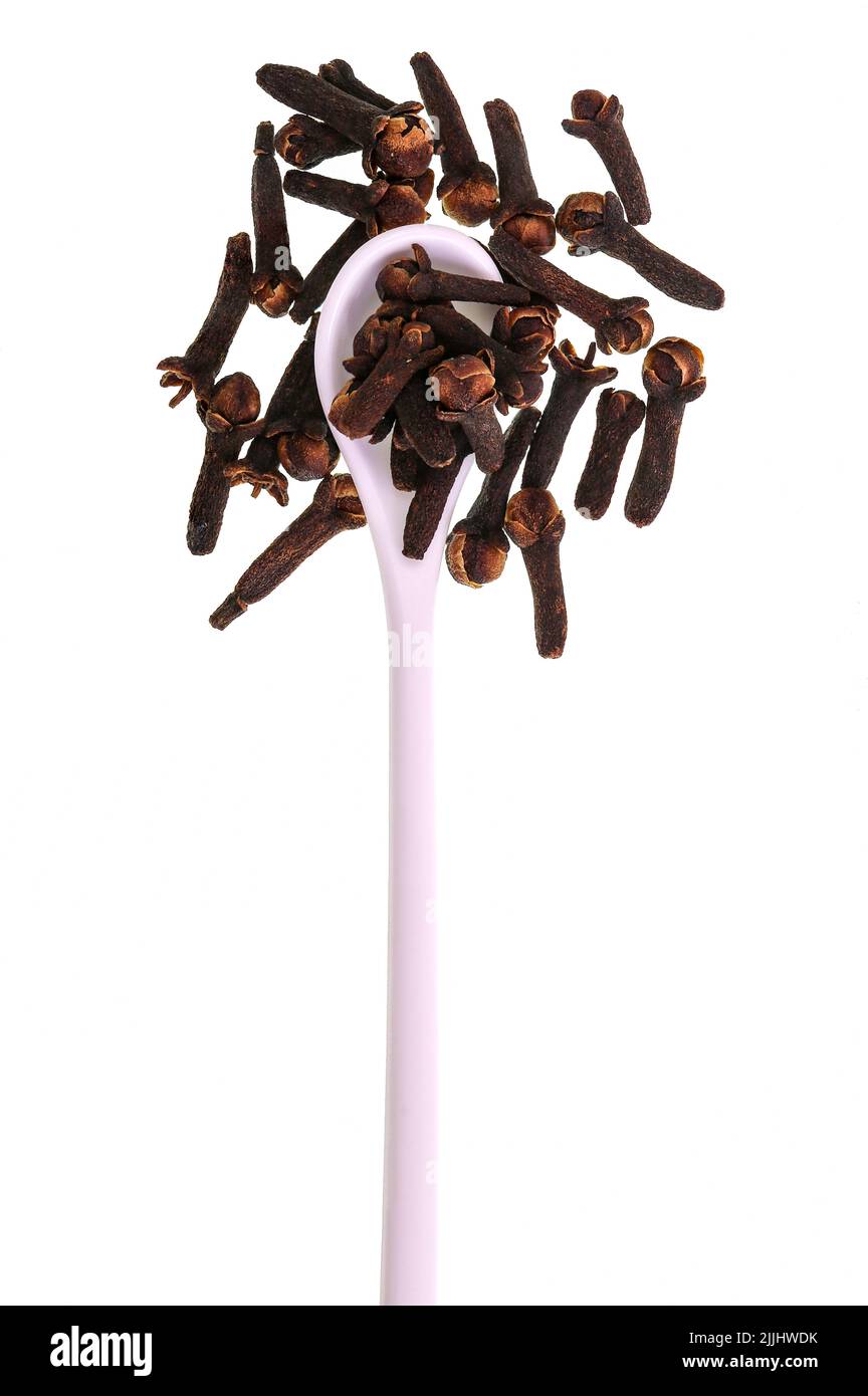 Cloves are the flower buds of the evergreen clove tree, Syzygium ...