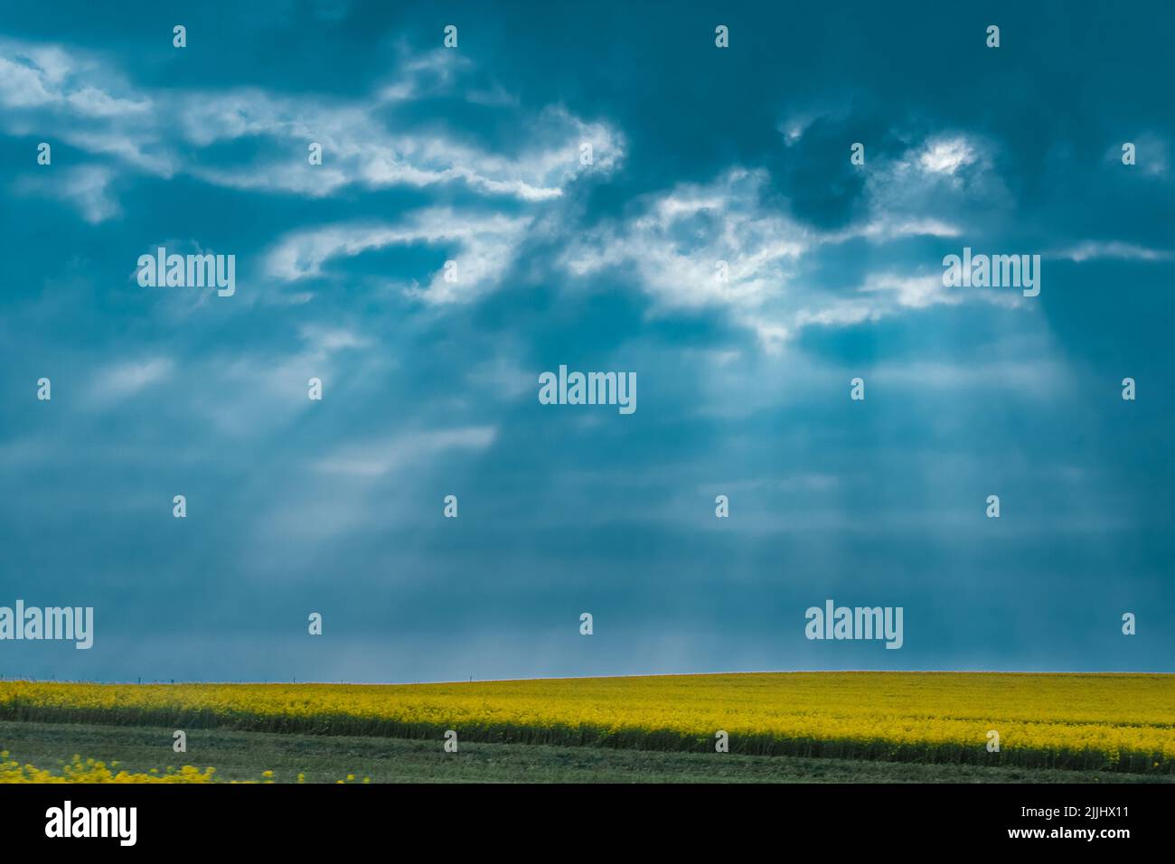 Light sky sunlight sunbeam field nature rays background blue landscape ...