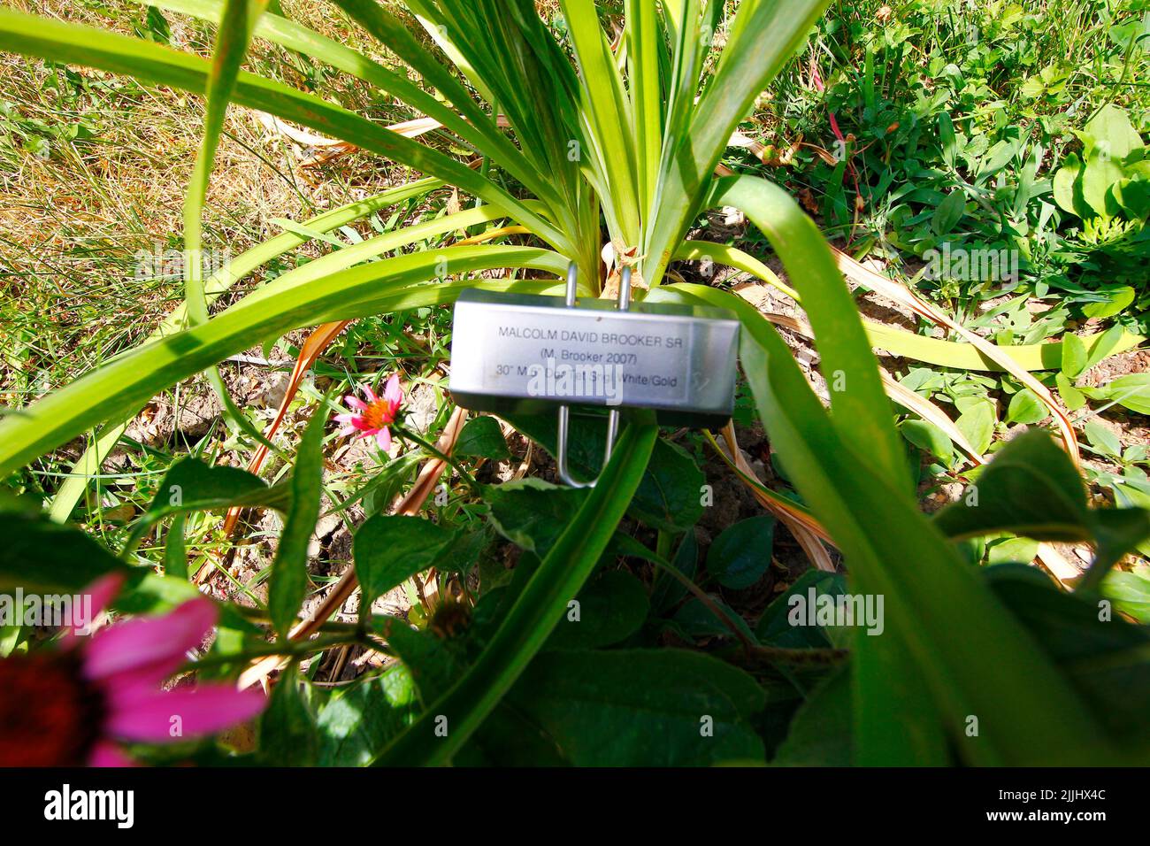 David brooker hi-res stock photography and images - Alamy