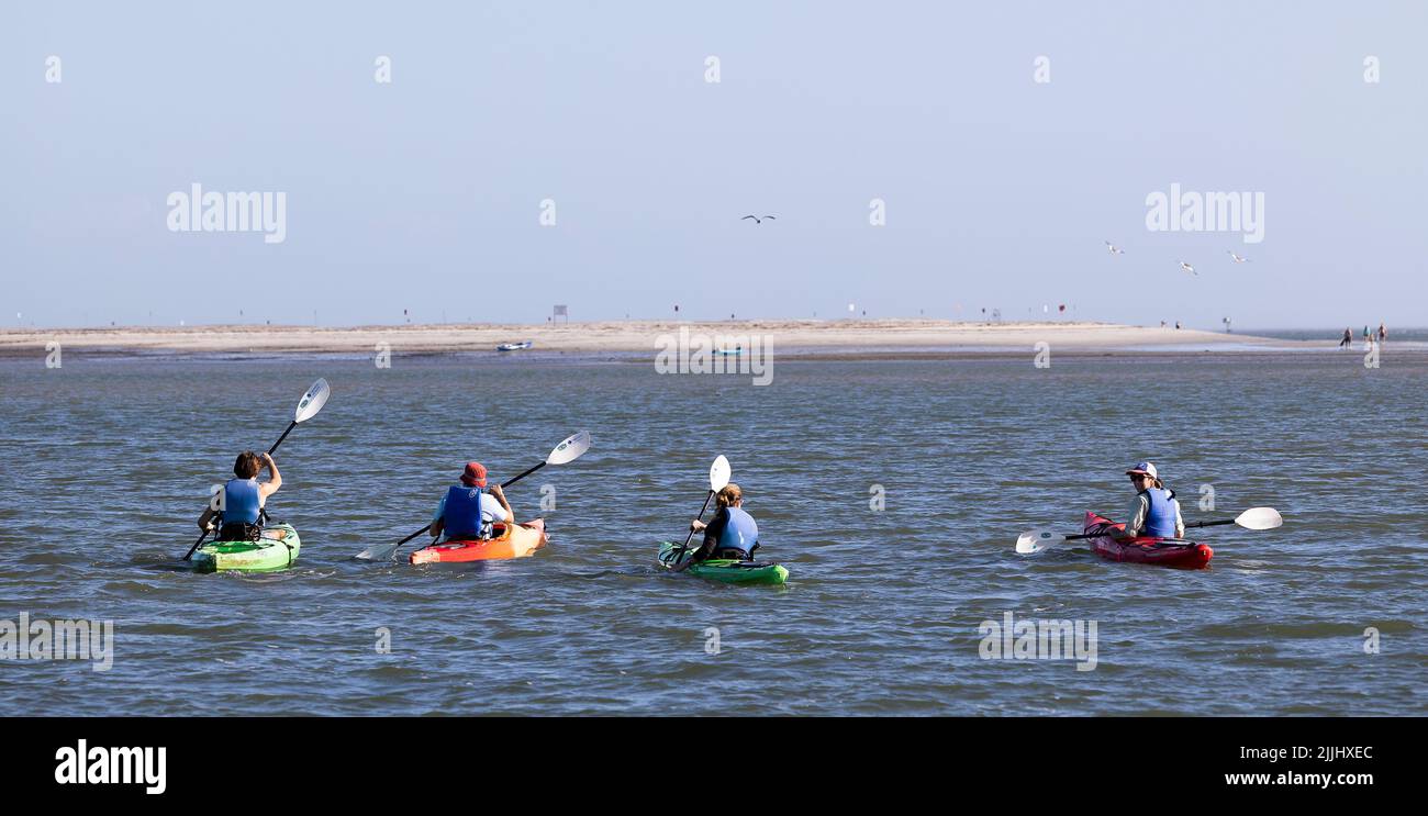 Crab Bank Island in South Carolina located in Charleston Harbor ...