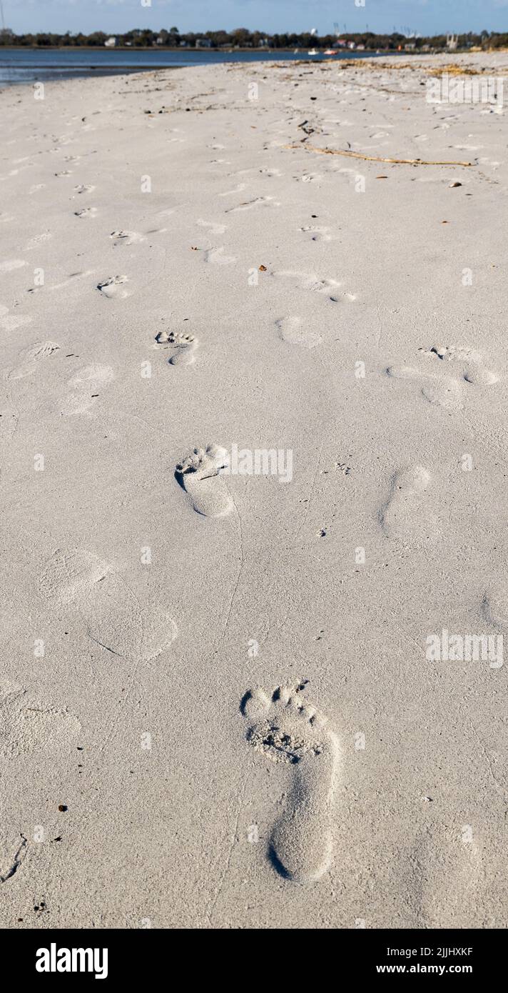 Cab Bank Island. Foot steps on the beach Stock Photo - Alamy