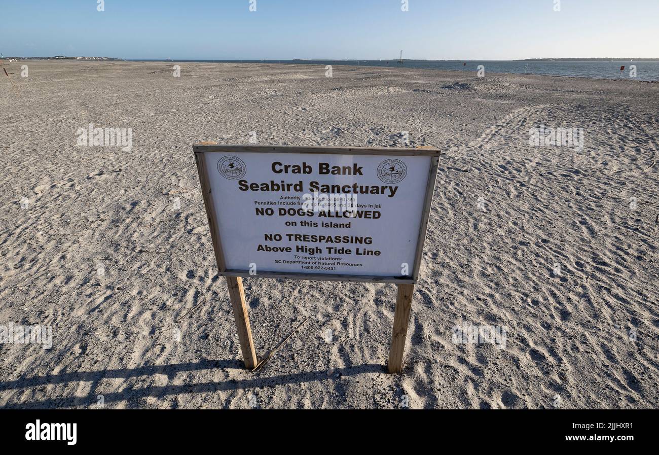 Crab Bank Island near Mt. Pleasant, S.C. Crab Bank is a bird sanctuary ...