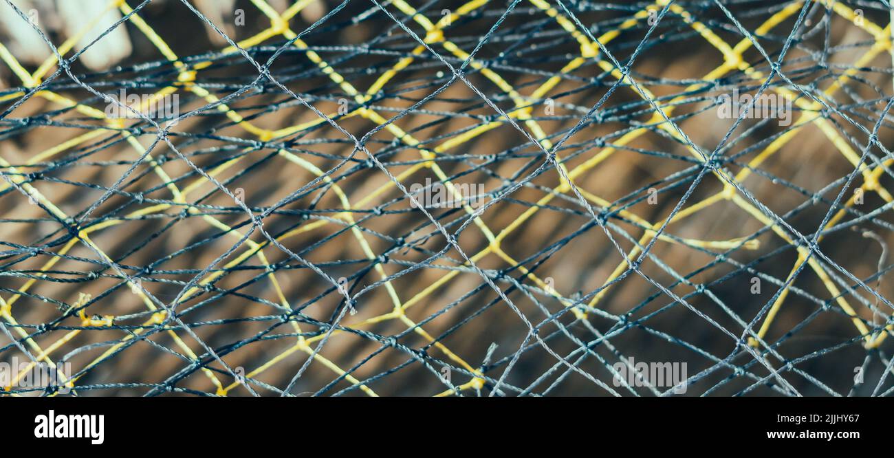 BANNER abstract close-up macro real photo beautiful wallpaper ...