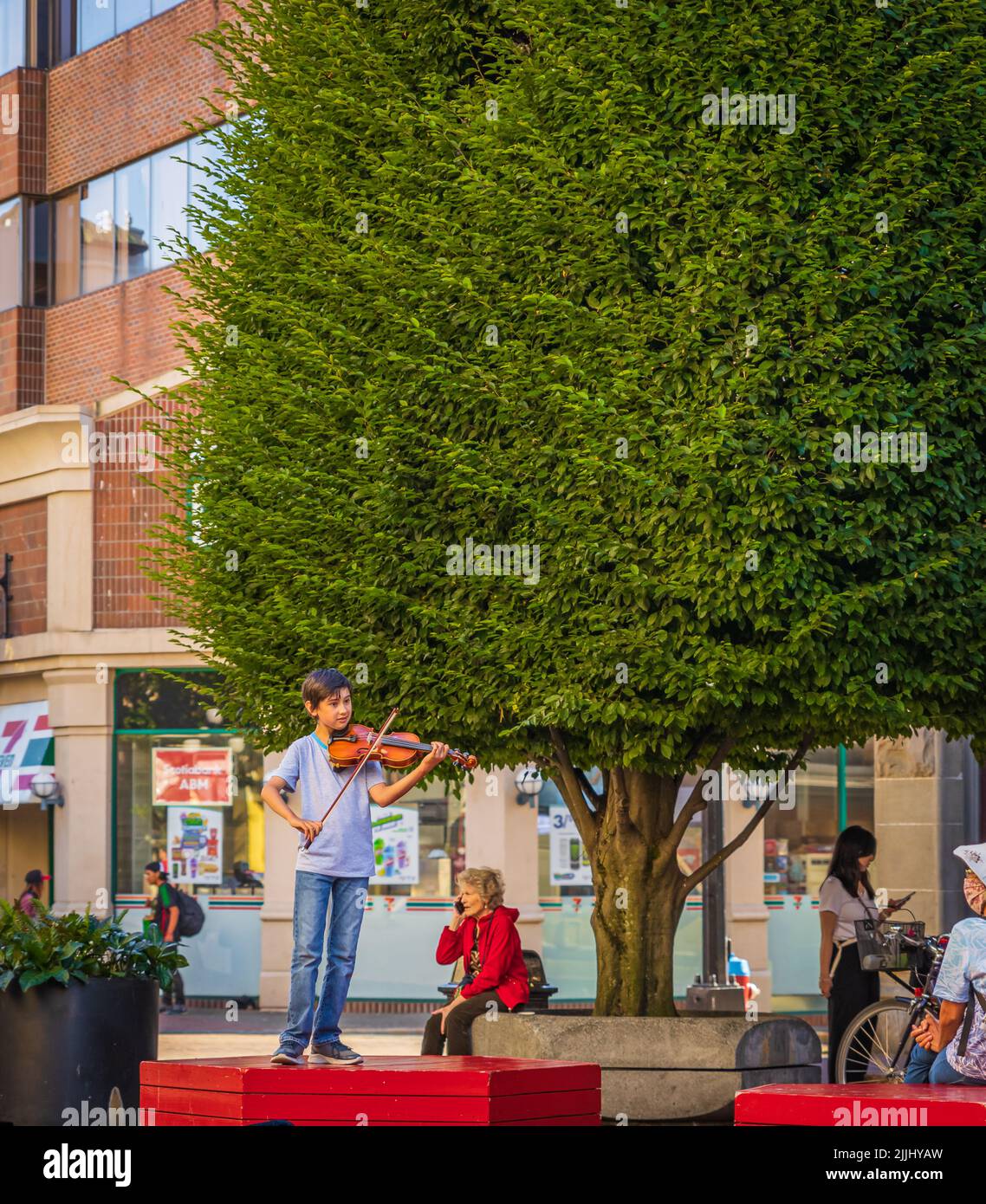 Musician playing violin. The boy playing violin standing in alley on a ...