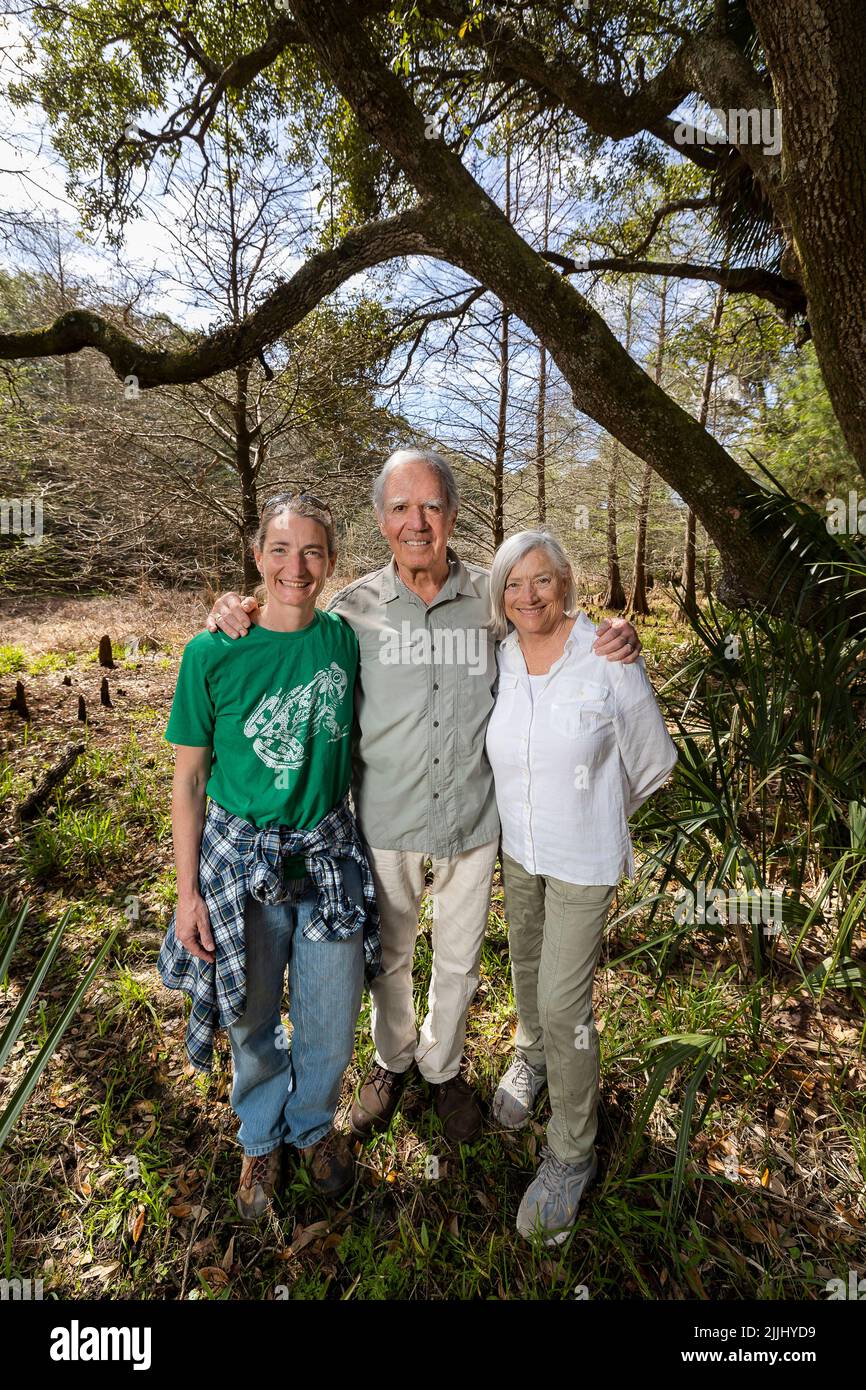 Swamp island hi-res stock photography and images - Alamy